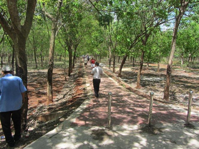 Vietnam - Long Tan Cross Memorial | Department of Veterans' Affairs
